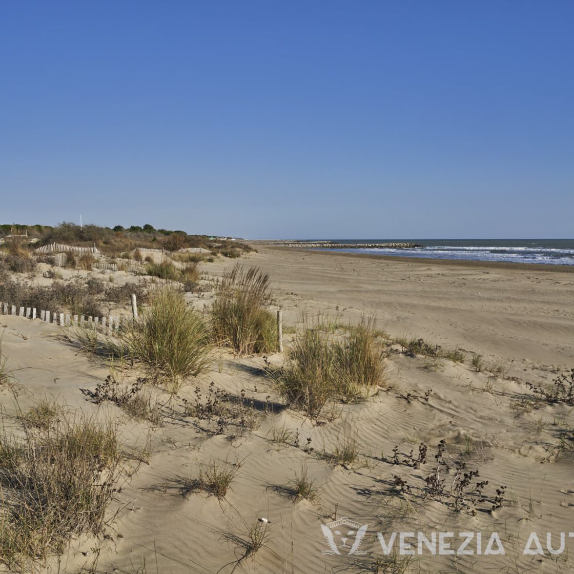Gorgeous Beaches In Venice, Italy, That You Will Be Glad To Know