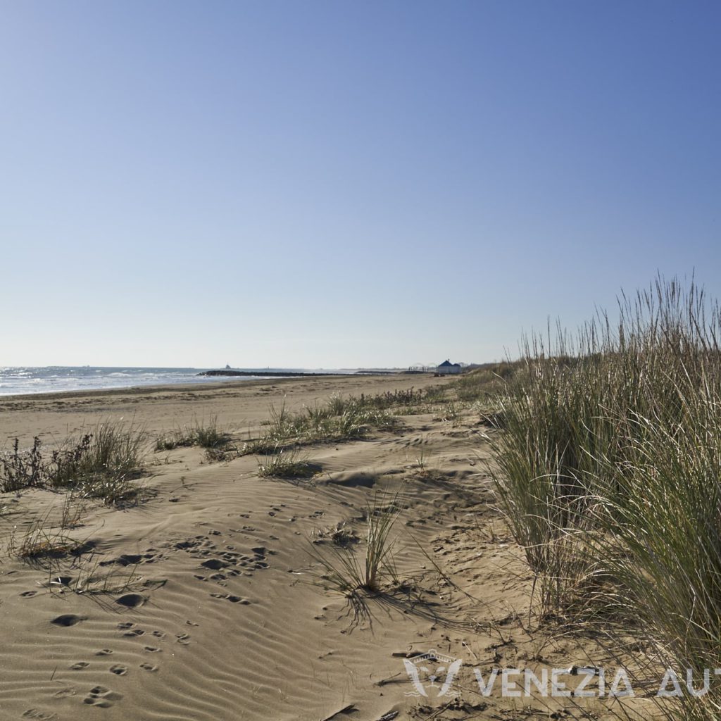 Gorgeous Beaches In Venice, Italy, That You Will Be Glad To Know